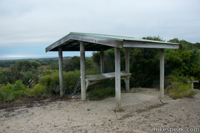 Forester Kangaroo Drive | Tasmania | Hikespeak.com