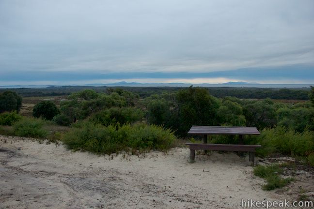 Forester Kangaroo Drive | Tasmania | Hikespeak.com