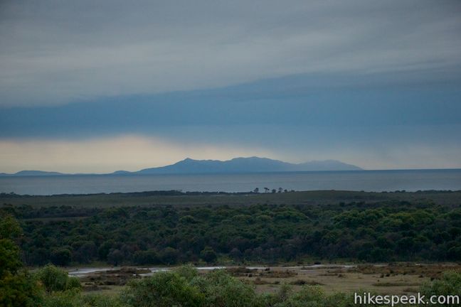 Forester Kangaroo Drive | Tasmania | Hikespeak.com