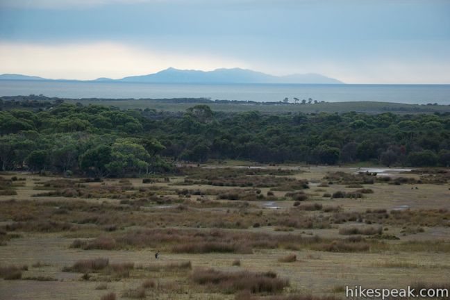 Forester Kangaroo Drive | Tasmania | Hikespeak.com