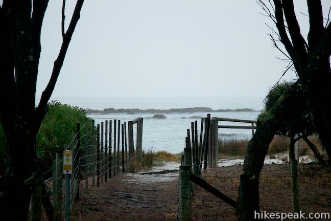 Stumpys Bay Campground | Tasmania | Hikespeak.com