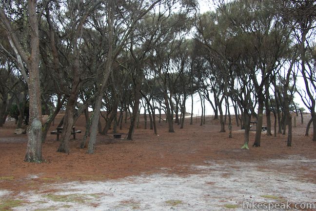 Stumpys Bay Campground | Tasmania | Hikespeak.com
