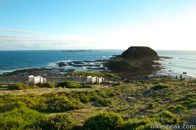 Nobbies Boardwalk | Phillip Island | Australia | Hikespeak.com