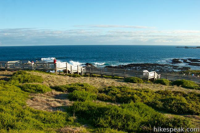 Nobbies Boardwalk | Phillip Island | Australia | Hikespeak.com
