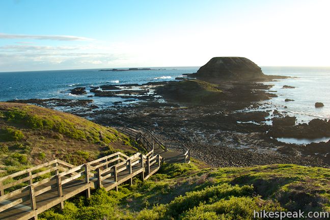 Nobbies Boardwalk | Phillip Island | Australia | Hikespeak.com