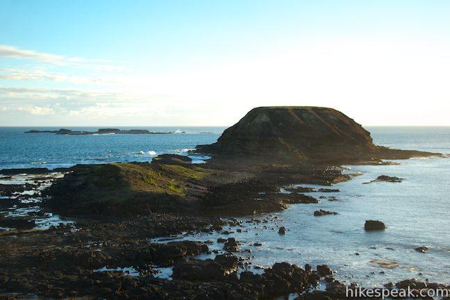 Nobbies Boardwalk | Phillip Island | Australia | Hikespeak.com