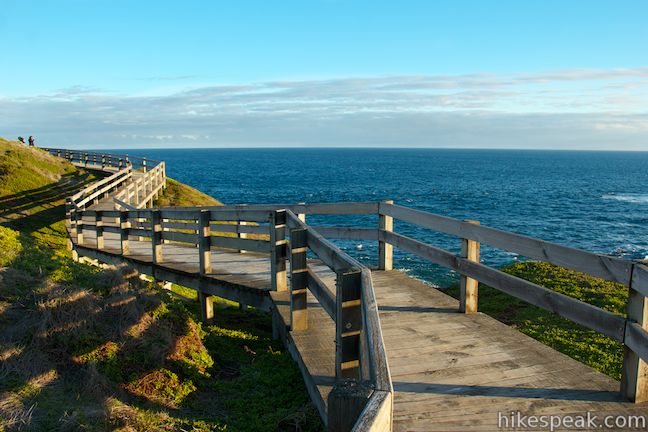 Nobbies Boardwalk | Phillip Island | Australia | Hikespeak.com
