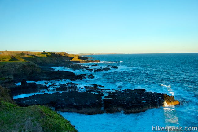 Nobbies Boardwalk | Phillip Island | Australia | Hikespeak.com