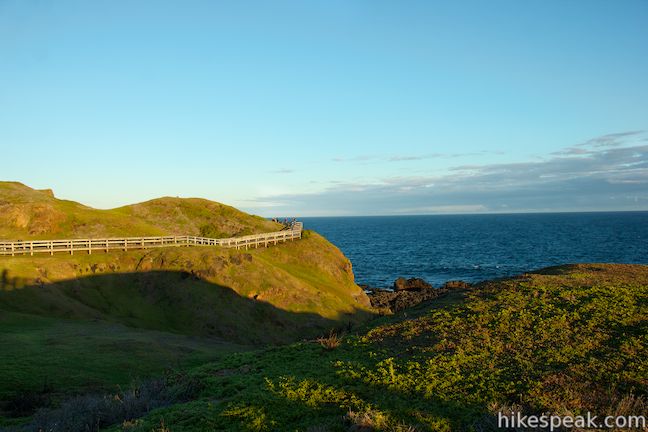 Nobbies Boardwalk | Phillip Island | Australia | Hikespeak.com