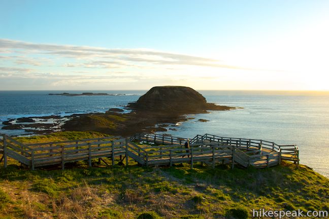 Nobbies Boardwalk | Phillip Island | Australia | Hikespeak.com