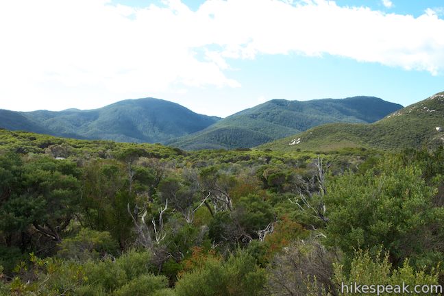 Tidal River Campground | Wilsons Promontory | Australia | Hikespeak.com