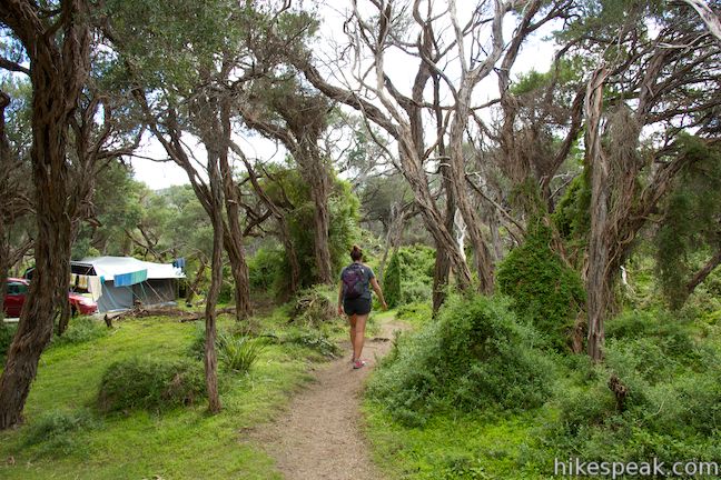 Tidal River Campground | Wilsons Promontory | Australia | Hikespeak.com