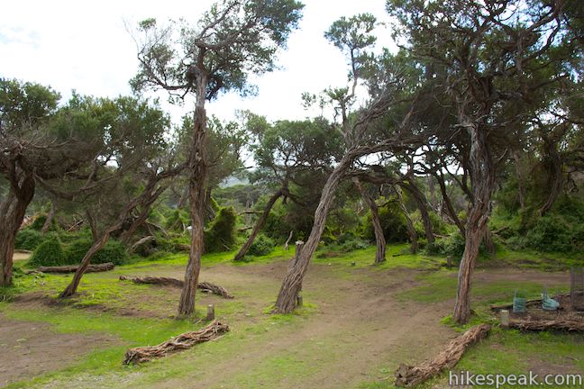 Tidal River Campground | Wilsons Promontory | AU | Hikespeak