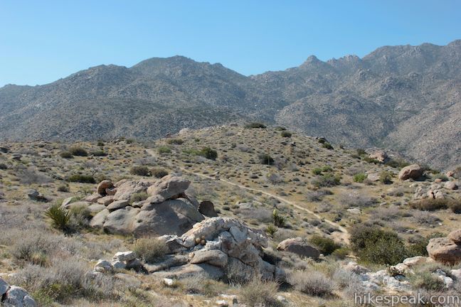 Culp Valley Loop | Anza-Borrego Desert State Park | Hikespeak.com