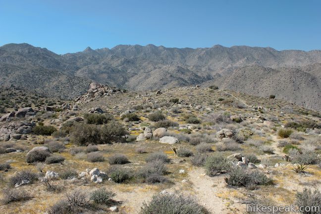 Culp Valley Loop | Anza-Borrego Desert State Park | Hikespeak.com