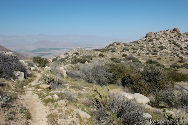 Culp Valley Loop | Anza-Borrego Desert State Park | Hikespeak.com