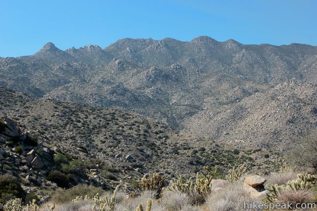 Culp Valley Loop | Anza-Borrego Desert State Park | Hikespeak.com