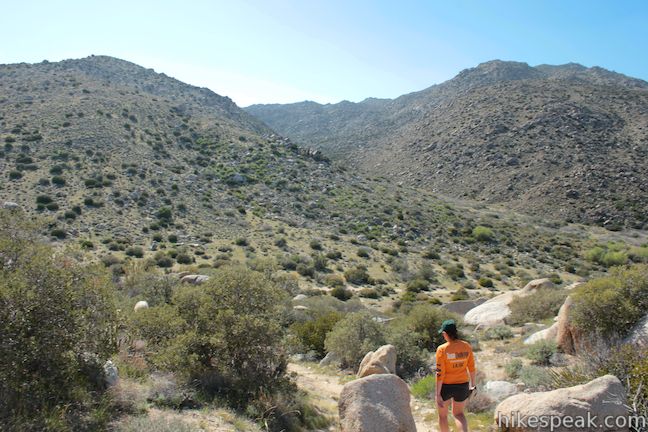 Culp Valley Loop | Anza-Borrego Desert State Park | Hikespeak.com