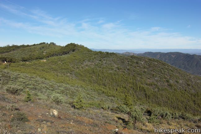 Cuesta Ridge Botanica Area | San Luis Obispo | Hikespeak.com