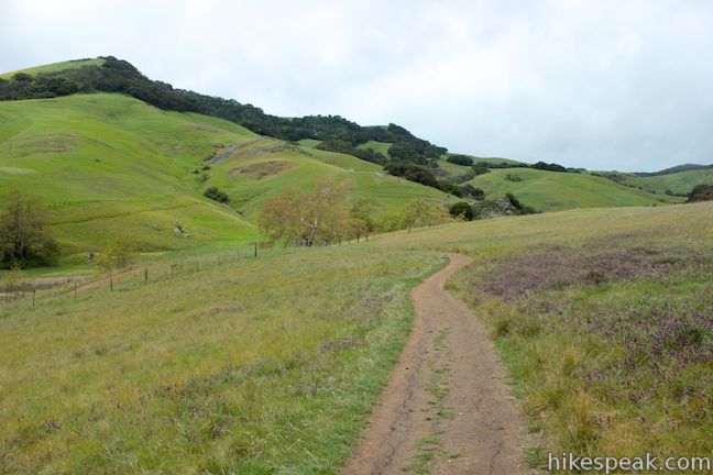 Johnson Ranch – Irish Hills Connector Trail in San Luis Obispo
