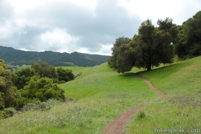 Johnson Ranch – Irish Hills Connector Trail in San Luis Obispo