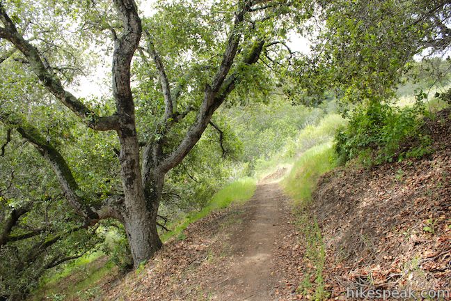 Johnson Ranch – Irish Hills Connector Trail in San Luis Obispo