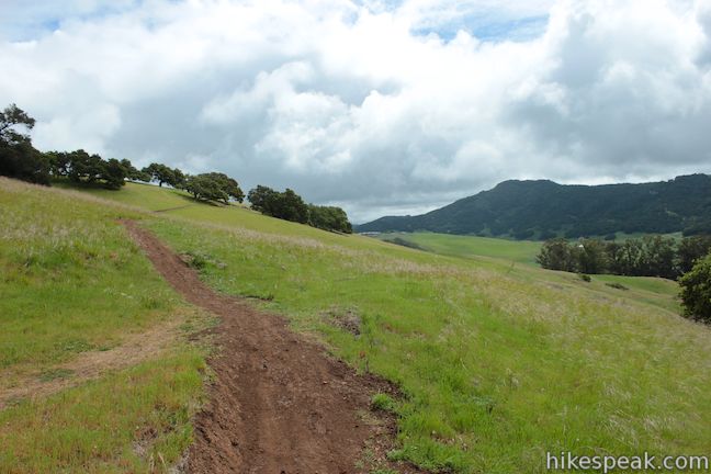Johnson Ranch – Irish Hills Connector Trail in San Luis Obispo