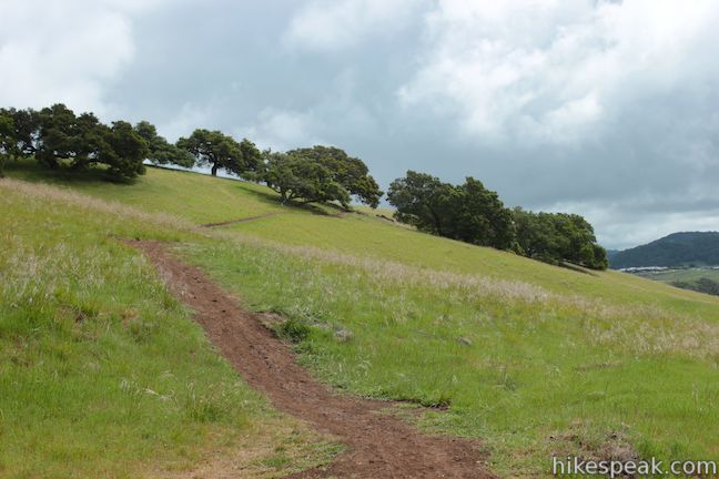 Johnson Ranch – Irish Hills Connector Trail in San Luis Obispo