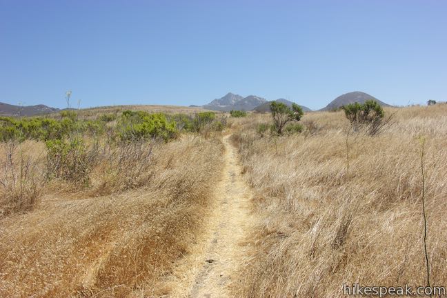 Chumash & Crespi Trails Loop | Morro Bay SP | Hikespeak.com