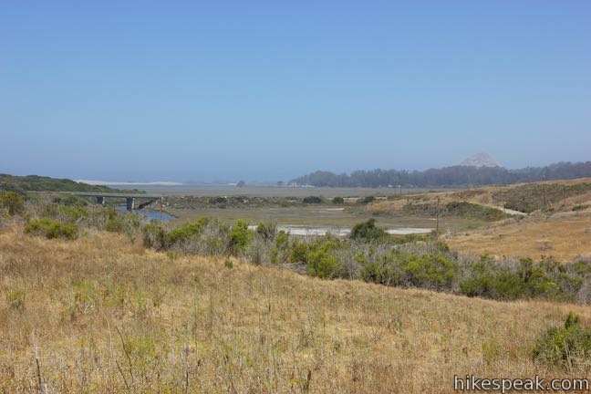 Chumash & Crespi Trails Loop | Morro Bay SP | Hikespeak.com