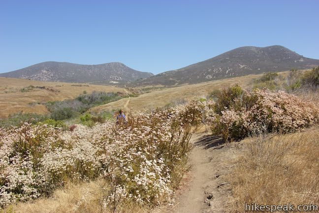 Chumash & Crespi Trails Loop | Morro Bay SP | Hikespeak.com
