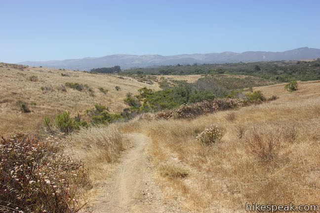 Chumash & Crespi Trails Loop | Morro Bay SP | Hikespeak.com