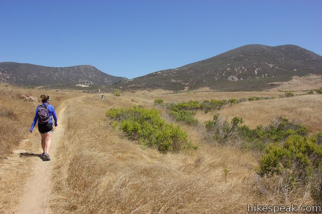 Chumash & Crespi Trails Loop | Morro Bay SP | Hikespeak.com