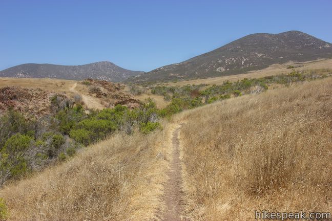 Chumash & Crespi Trails Loop | Morro Bay SP | Hikespeak.com