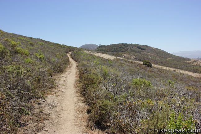 Chumash Trail – Crespi Trail – Hutash Trail Loop in Morro Bay State Park