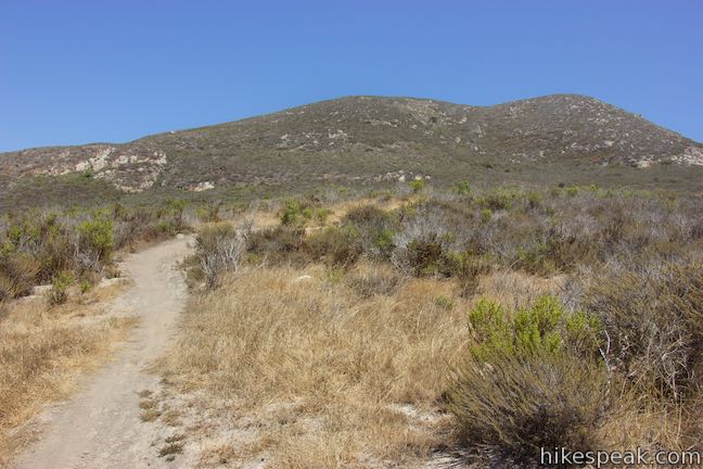 Chumash & Crespi Trails Loop | Morro Bay SP | Hikespeak.com