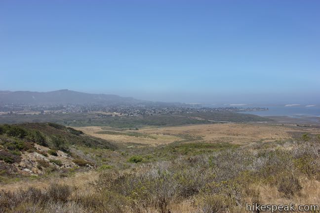 Chumash Trail – Crespi Trail – Hutash Trail Loop in Morro Bay State Park