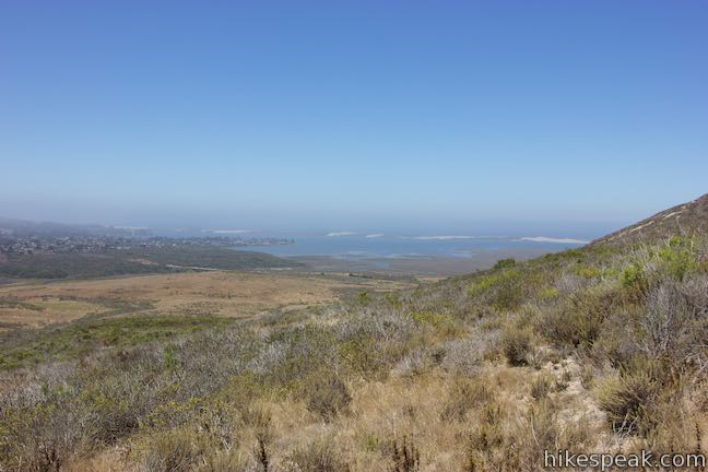 Chumash Trail – Crespi Trail – Hutash Trail Loop in Morro Bay State Park