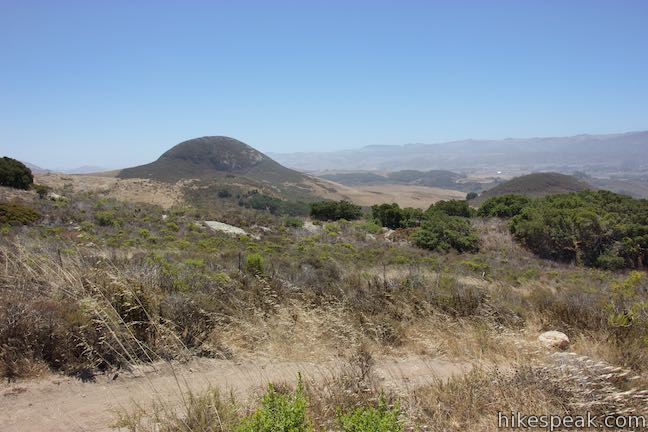 Chumash Trail – Crespi Trail – Hutash Trail Loop in Morro Bay State Park