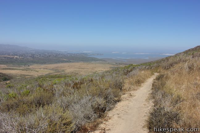 Chumash & Crespi Trails Loop | Morro Bay SP | Hikespeak.com