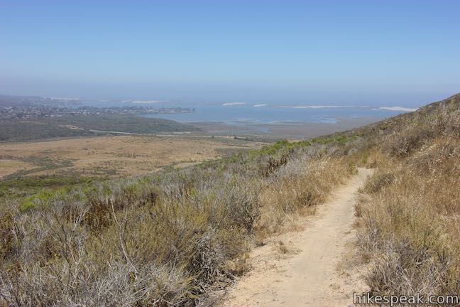 Chumash & Crespi Trails Loop | Morro Bay SP | Hikespeak.com