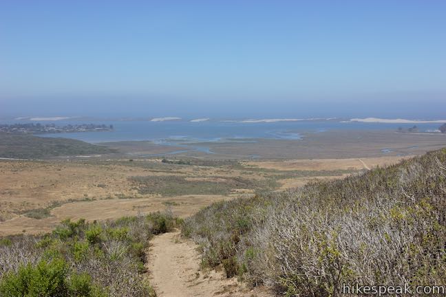 Chumash & Crespi Trails Loop | Morro Bay SP | Hikespeak.com