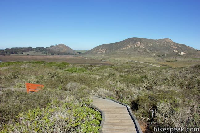 Elfin Forest Natural Preserve in San Luis Obispo