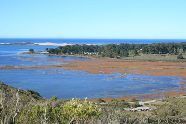 Portola Point in Morro Bay State Park
