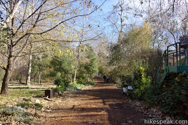 Sycamore Crest Trail to Ontario Ridge Trail in Avila Valley