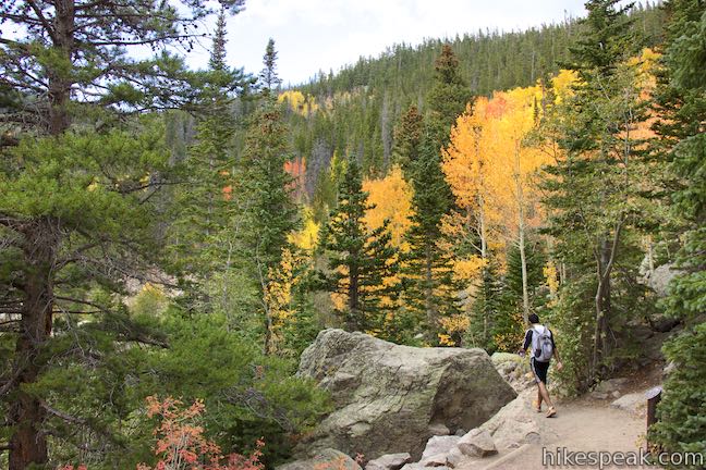 Bear Lake Nature Trail in Rocky Mountain National Park