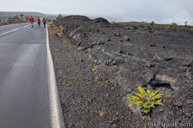 Crater Rim Drive to Keanakāko‘i Crater and Overlook Trail in Hawai‘i ...