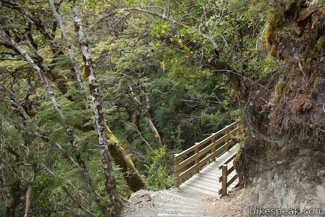 Devils Punchbowl Falls | New Zealand | Hikespeak.com