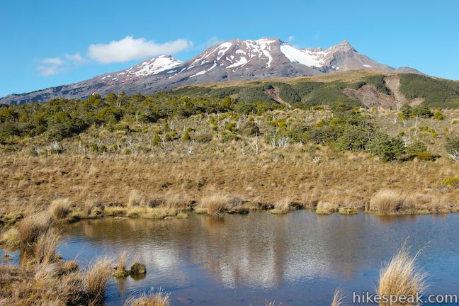 Waitonga Falls Track | New Zealand | Hikespeak.com