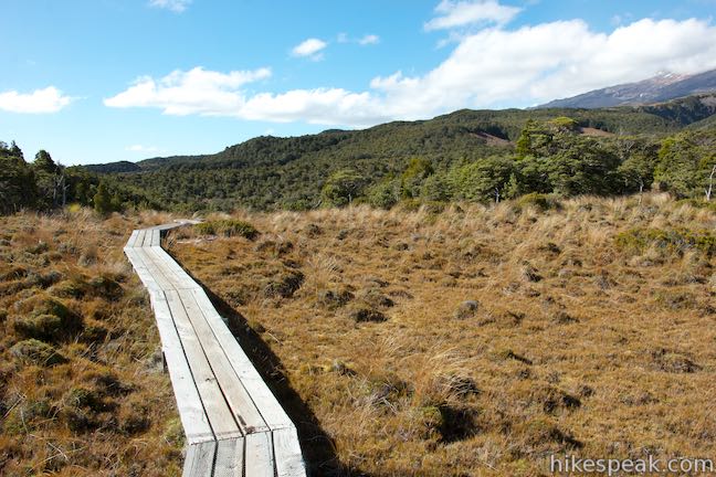 Waitonga Falls Track | New Zealand | Hikespeak.com